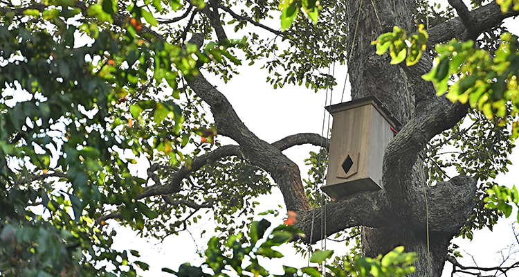 All of our initiatives are aimed to support the overall goals of The ...