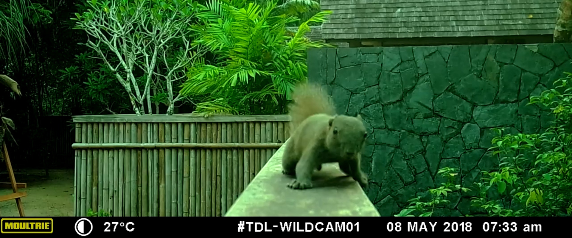 Installing Wildlife Camera Traps