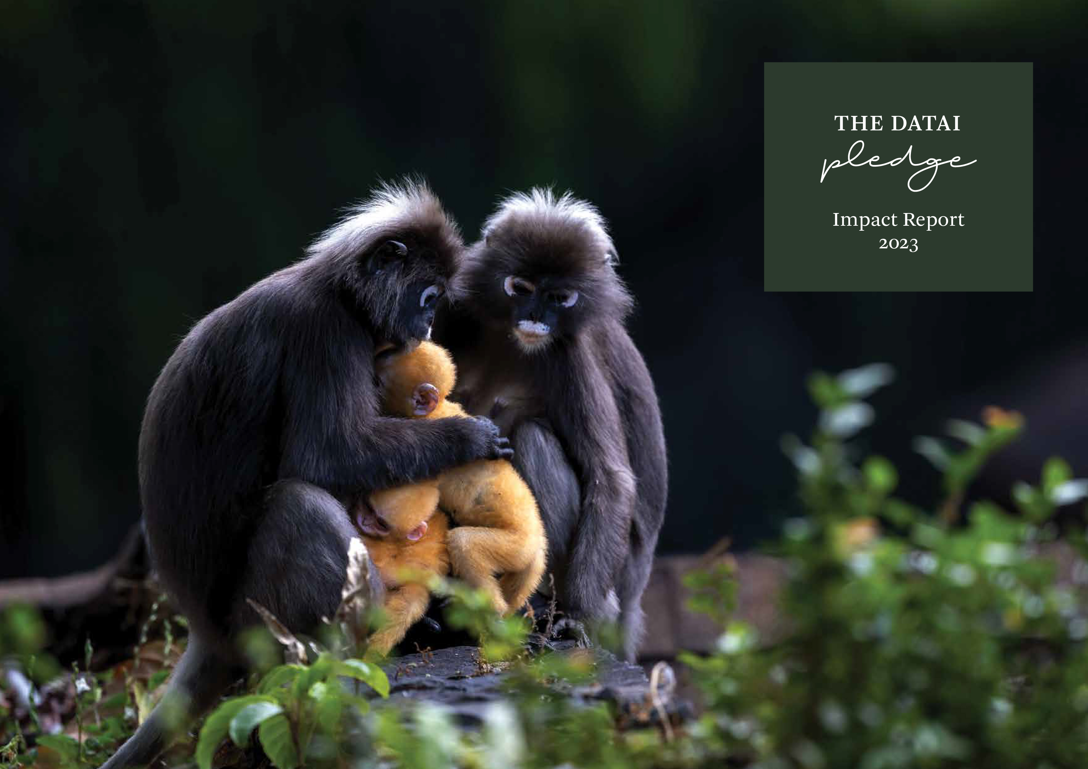 The Datai Pledge Impact Reports